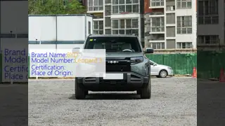 BYD Leopard Electric SUV 501KM Range