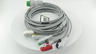 Watch:Compatible Biolight A、Q Series 12 Pin  ECG Cable 5 Leads Clip Type IEC
