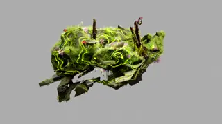 China Low Noise Interactive Kitten Toys Innovative Design Hexagon Maze Box Shape for sale