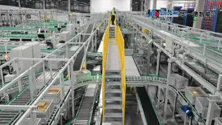 Carton Box Conveyor Sorting System 02