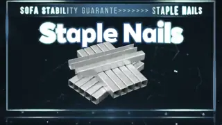 staple nail