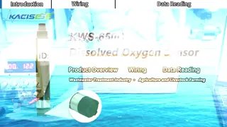 KWS-650C Dissolved Oxygen Sensor Overview, Wiring & Data Reading