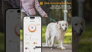 China New Arrival Real-Time GPS Pet Tracker 4G Smart Collar App for Cats Dogs IPx6 Waterproof >20h Battery Voice Calls Compatible for sale