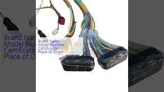 Excavator Wiring Harness  D WESPC
