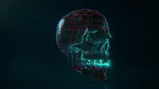 China Camouflage Pattern Pet Travel Bag , Dog Carrier Purse With Waterproof Lining for sale