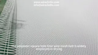 Polyester plain weave square mesh