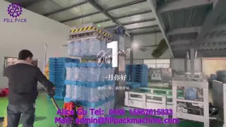 2163 V11 Column-Mounted Cantilever Gallon Palletizer