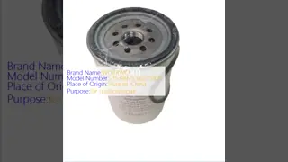 Excavator Fuel Filter Replacement 21538975 WOERWO