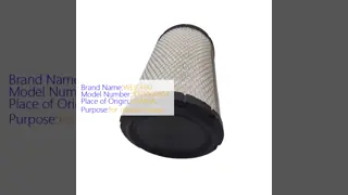 Weichai Air Filter 1001069804 for Generators
