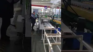 Line for the production of Profile Wall Cladding Panel