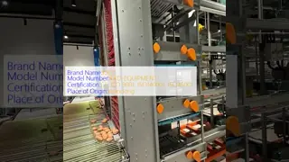 Durable Layer Cages Corrosion Resistant Long Life