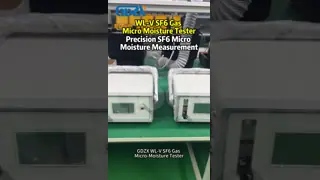 WL-V SF6 Gas Micro Moisture Tester