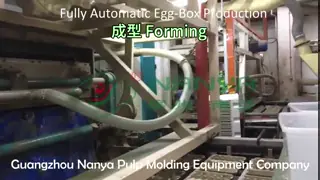 Fully Automatic Pulp Molding Machine for Egg Carton/ Egg Carton Machine Machine/ Pulp Egg Carton