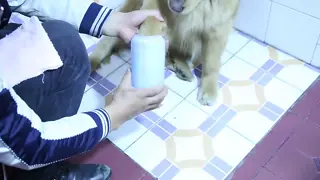 Pet Foot Washing Cup