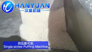 Single-screw Puffing  Machine