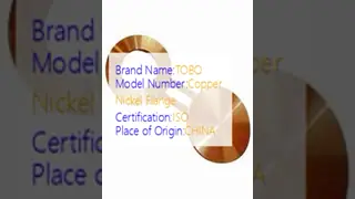 Spectacle Flanges Copper Nickel 90/10 Forged
