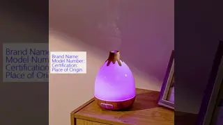 Humidifier Diffuser LED Air Purifier Fragrance Lamp