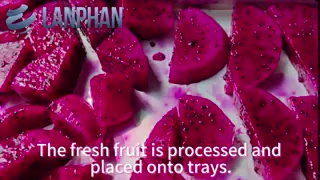 Freeze Dry Fruit At Home