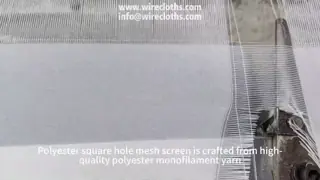 Polyester plain weave square mesh factory