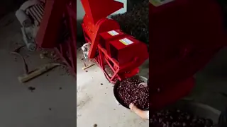 Chestnut Sheller High Efficiency Nut Peeling