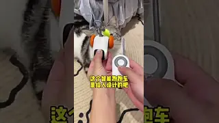 Pet Remote Control Car-a