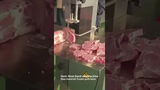 JY310 Butcher Band Saw Precision Meat Cutting