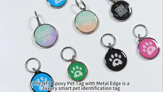 RFID epoxy pet tag
