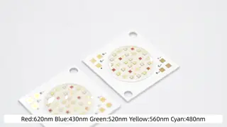 Beauty Light COB LED Chip