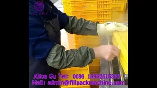 2154 U6 Straight-Line Plastic Crate Washer