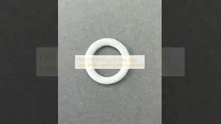 FKM PTFE O Ring High Temp Chemical Seal