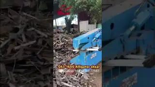 Q43-1600 hydraulic Alligator shear for scrap metal/aluminum cutting working video