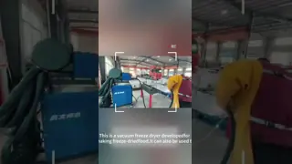 Industrial Freeze Dryer 1000kg Capacity