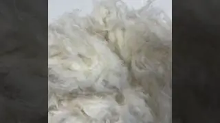 3D×51mm Aramid 1313 Fiber High Temp Resistant Flame Retardant for Industrial Textiles