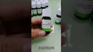Playboy Perfume Oil Long Lasting Scent