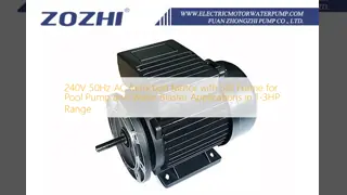 240V 50Hz Pool Pump Water Blaster Motor
