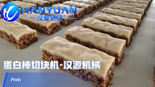 Double Layer Cereal Protein Bar Processing Line