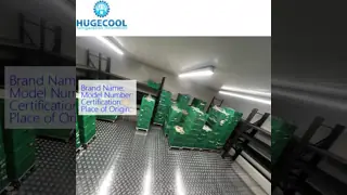 Beef Blast Freezer Walk In Freezer Room