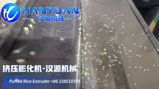 Puffed Rice Extruder Machine