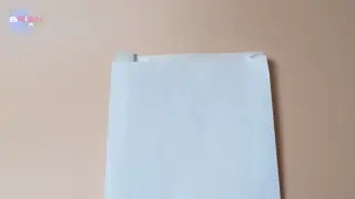 Flat Satchel Paper Bag Showcase