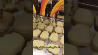 Fully Automatic Chocolate Decorating Machine Biscuit Decorating Machine