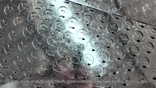 Stainless Steel Perforated Metal Roll 2mm Aperture Door Window Protection