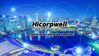 Fiber Optic Ferrules Precision Connectors