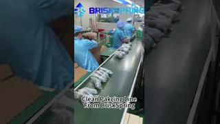 BRISKSPRING's highly clean and organized packaging line