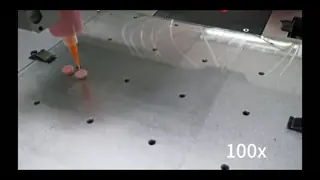 Auto Bio2000 to achieve small-batch continuous manufacturing of 80 wafers