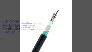 48 Core Armored Fiber Cable GYTS53 Direct Burial