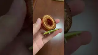 Combines the model number with the core materials for clear search engine optimization