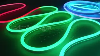 1225 DMX Neon Flex Light