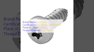 Secure Fastening Stainless Steel Security Screws
