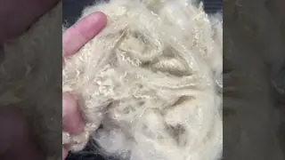 4D×51mm Eco-Friendly Recycled Low Melt Fiber off white  Good Bonding for Textile Production
