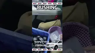 Toyota Corolla Prius Stabilizer Bush 48815-02240